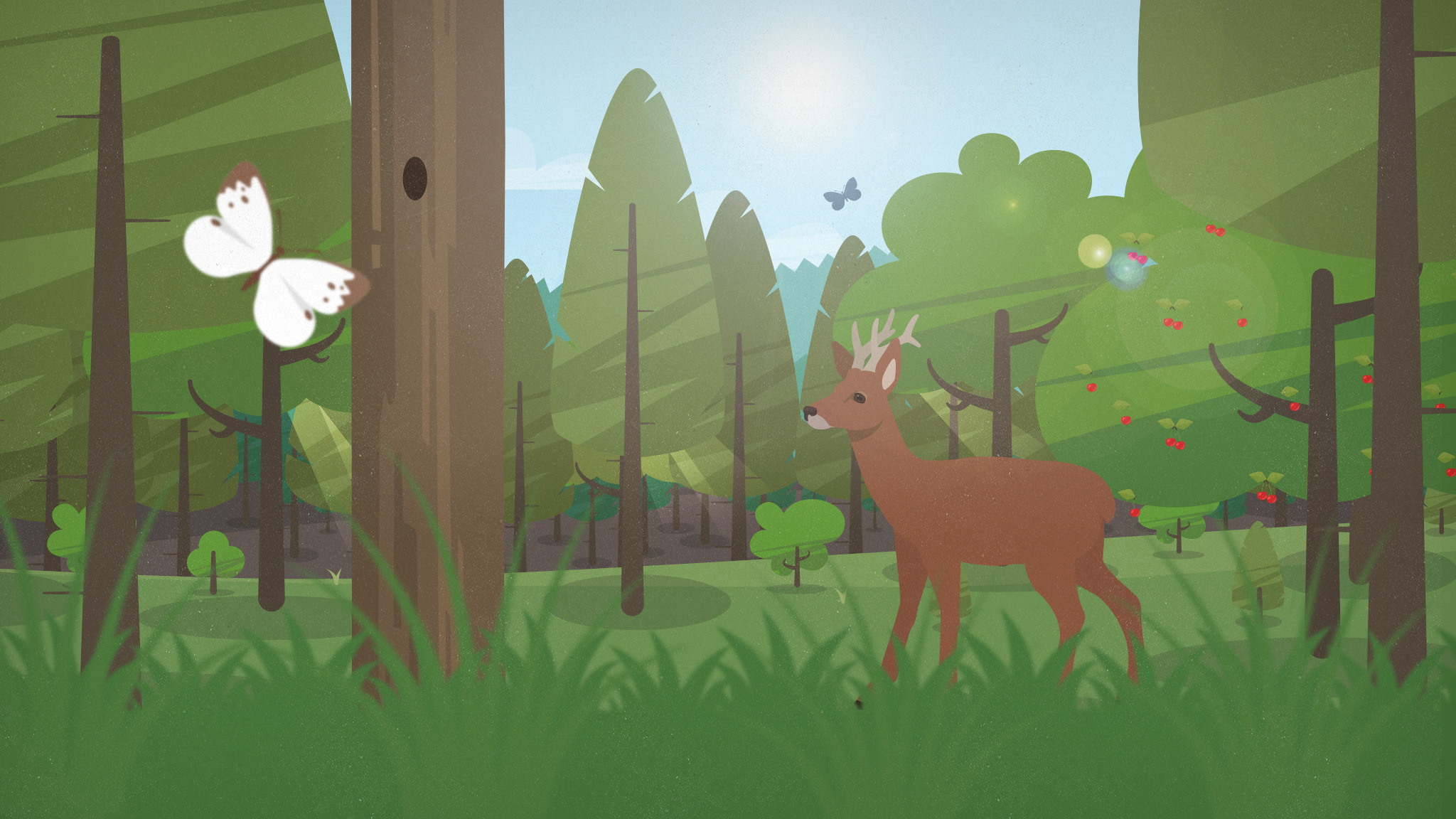 Waldkalender: Der Wald im Sommer auf www.Waldhilfe.de